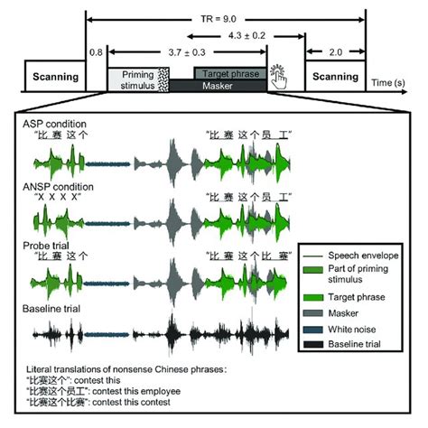 schematic of a single trial presenting sound stimuli in a functional