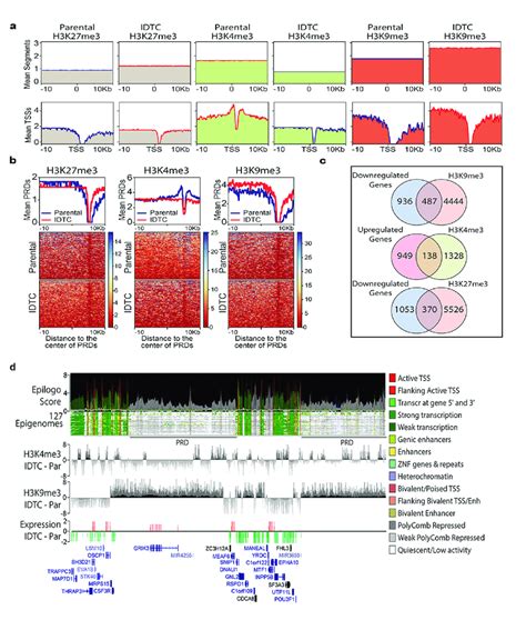 Genome Wide Re Distribution Of Histone Modifications In Idtcs A