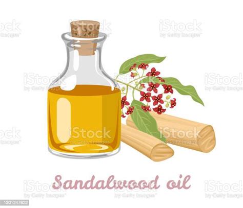 유리 병에 샌들 우드 오일 나무 막대기와 흰색 배경에 고립 된 꽃 만화 플랫 스타일로 에센셜 오일의 벡터 일러스트 0명에 대한 스톡 벡터 아트 및 기타 이미지 Istock