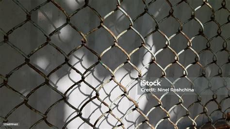 그런 지 녹슨 와이어 메쉬 질감 클로즈업 밝은 햇빛에 그림자와 금속 격자 패턴 흐릿한 그림자와 회색 벽 배경 앞에 오래 된 고민 체인 링크 울타리 0명에 대한 스톡 사진 및