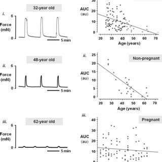 Myometrial Contractility In Relation To Maternal Age A Representative Download Scientific