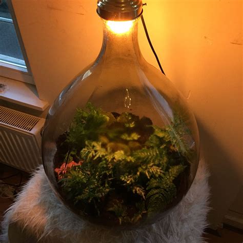 Closed Ecosystem House Materials DIY Plants Terrarium