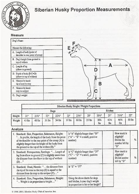 Siberian Husky Weight Chart