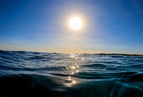 Οι ωκεανοί… σκοτεινιάζουν και απειλούνται τα θαλάσσια οικοσυστήματα αλλά και οι άνθρωποι