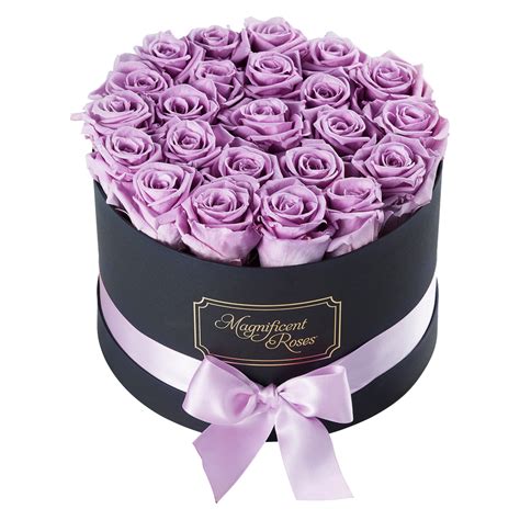 1 800 Magnificent Roses Preserved Pink Roses 2 Dozen Home