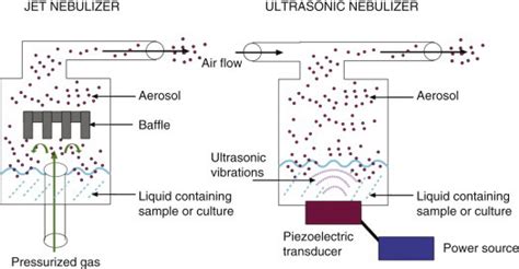 Biological Warfare Infectious Disease And Bioterrorism Abstract Europe Pmc