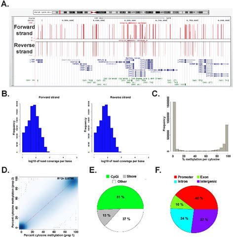 Enhanced Reduced Representation Bisulfite Sequencing For Assessment Of Dna Methylation At Base
