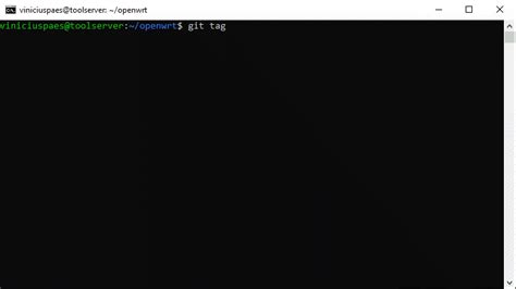 How To Build A Custom OpenWRT Image For Raspberry Pi Router Vinicius Paes