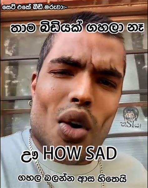 ගහලා බලන්න ආස හිතෙයි R Tkasylum