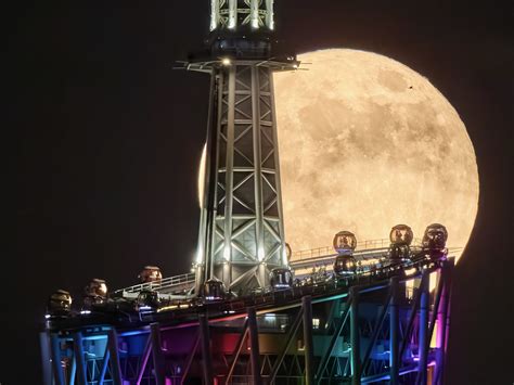 使用java原生库封装一个简单好用的请求工具类 会飞的猫