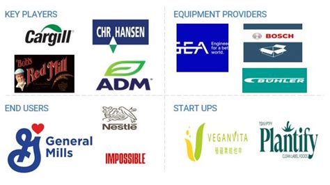 Nutritional Yeast Market Share Forecast Growth Analysis And Opportunities