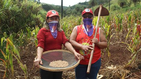 Dia Internacional Da Luta Camponesa Relatório Alerta Para O Aumento De