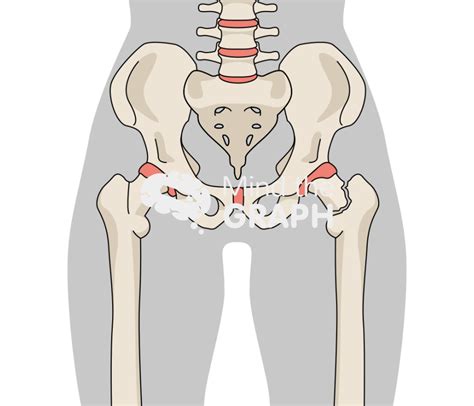 Free Femoral Neck Fracture 2 Body Icons Symbols Pictures And Images
