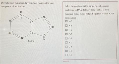Solved Derivatives Of Purines And Pyrimidines Make Up The