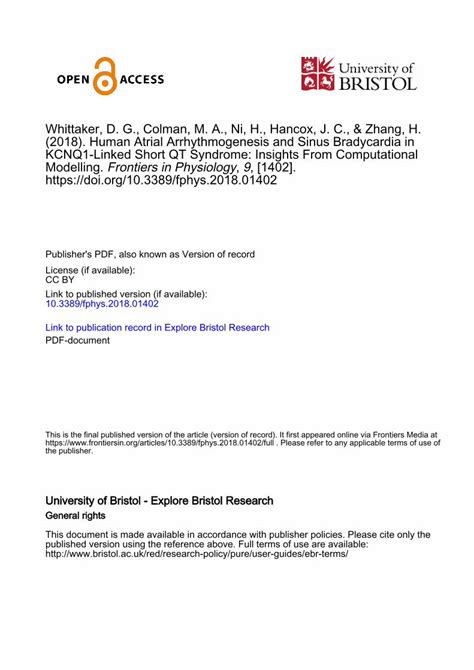 Pdf Human Atrial Arrhythmogenesis And Sinus Bradycardia In Dokumen Tips