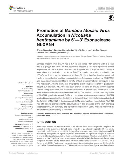 Pdf Promotion Of Bamboo Mosaic Virus Accumulation In Nicotiana Benthamiana By 5′→3