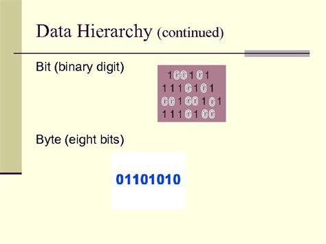 Chapter 5 Data And Knowledge Management Chapter