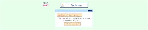 Flag In Programming Scaler Topics