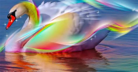 Descargar Gratis Fondos De Pantalla Fondos De Pantalla Para Windows Hot Sex Picture