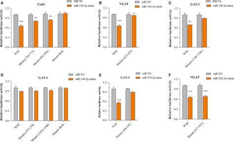 Experimental Validation Mirnas Targeting Genes Related To Gaba Tone