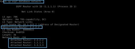 Top 11 Ospf Lsa Types Explained [2025]