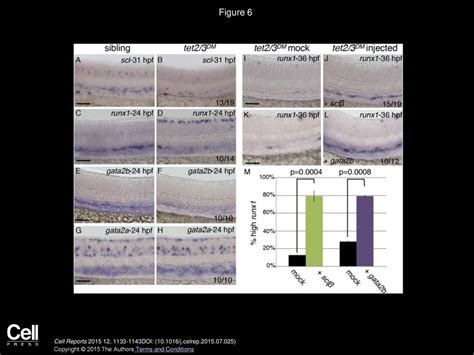 Volume 12 Issue 7 Pages August 2015 Ppt Download