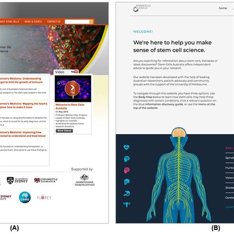 Comparison Of The Home Pages Between The A Original And B