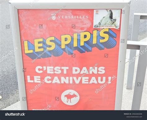 imágenes fotos de stock objetos en D y vectores sobre Perro haciendo pipi Shutterstock