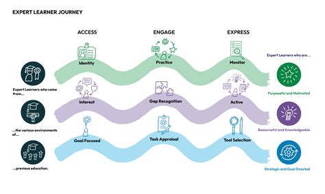 Eduexe Blog Becoming An Expert Learner