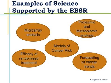 Biostatistics And Bioinformatics Ppt