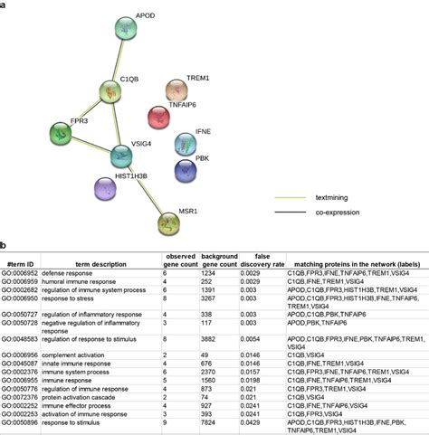 String Database Displayed The Protein Protein Interaction Network Among Download Scientific