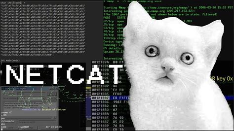 Reverse Shell Using Netcat Via Unresctricted File Upload Youtube