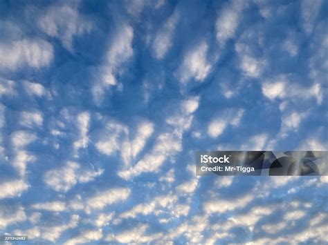 이미지는 적운 구름으로 가득 찬 하늘을 보여주며 빽빽하게 빽빽하게 빽빽하게 채워져 연속적인 층을 형성합니다 하늘 색깔은 밝은 파란색에서 짙은 파란색까지 다양하며 이는 일출