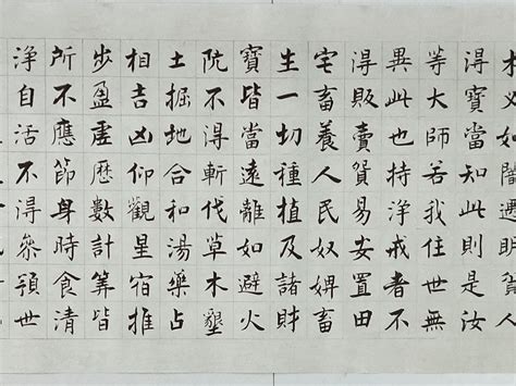 写经酩尧 站酷zcool