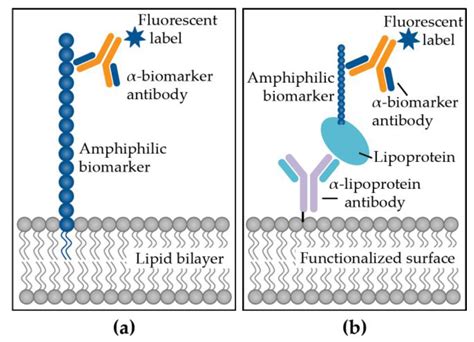 How To Detect Lipids Pausebear