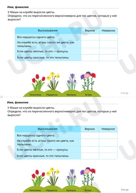 🟥 Заметки для презентации по теме “Порядок выполнения действий Закрепление базовый уровень