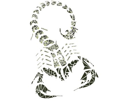 How To Draw Polygon Illustrator