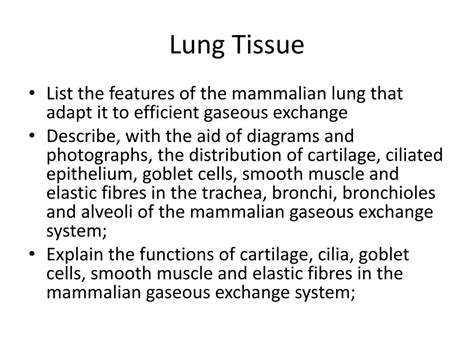 Ppt Lung Tissue Powerpoint Presentation Free Download Id573279