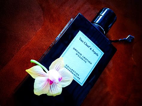 15 Best Party Fragrances Like Its 2024 Dapper Confidential