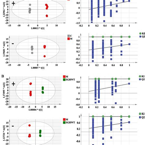 Figure S6 Multivariate Analysis And Permutation Test For Hypothalamic