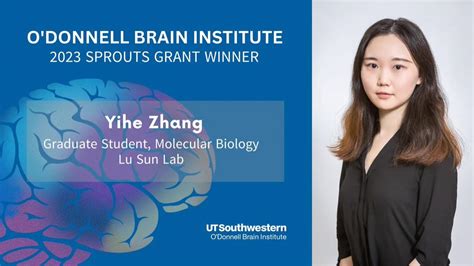 Lab Fun Sun Lu Lab Ut Southwestern Dallas Texas