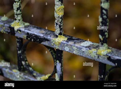 Detail Of An Old Rusty Wrought Iron Gate Stock Photo Alamy