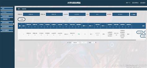 Springboot毕设 大学生就业网站 程序论文 Csdn博客