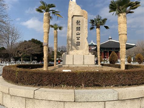 2024龙头山公园游玩攻略 龙头山公园一定要去 站在釜山 去哪儿攻略