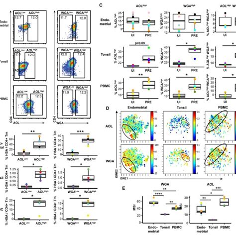 Flowsom Clustering Confirms That Hiv Susceptible Subsets From Tonsils