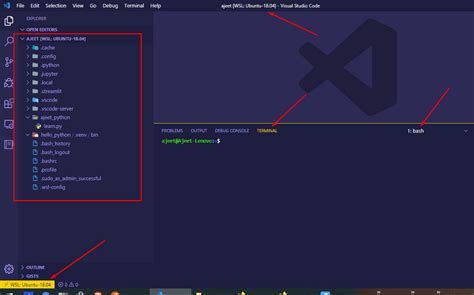 Variable Exploerer For Python In Visual Studio Perluv