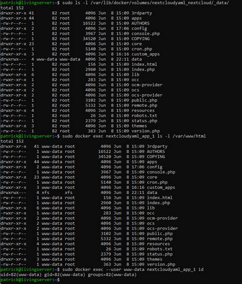 Docker Container Does Not Have Write Permission On Config Directory Support Nextcloud