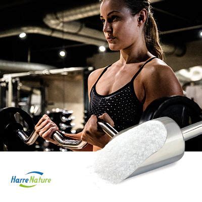 Bulk Magnesium D β Hydroxybutyrate Ingredients Online