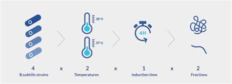 Bacillus Subtilis Protein Expression Service Proteogenix