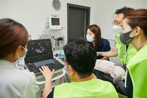 GE헬스케어 코리아 동물자유연대 찾아 헬스미디어